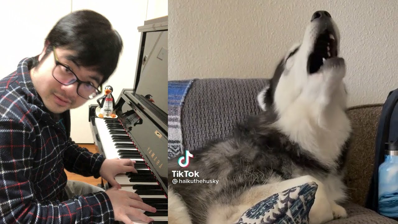 Piano Duet with Husky singing a Angelic Hymn - YouTube