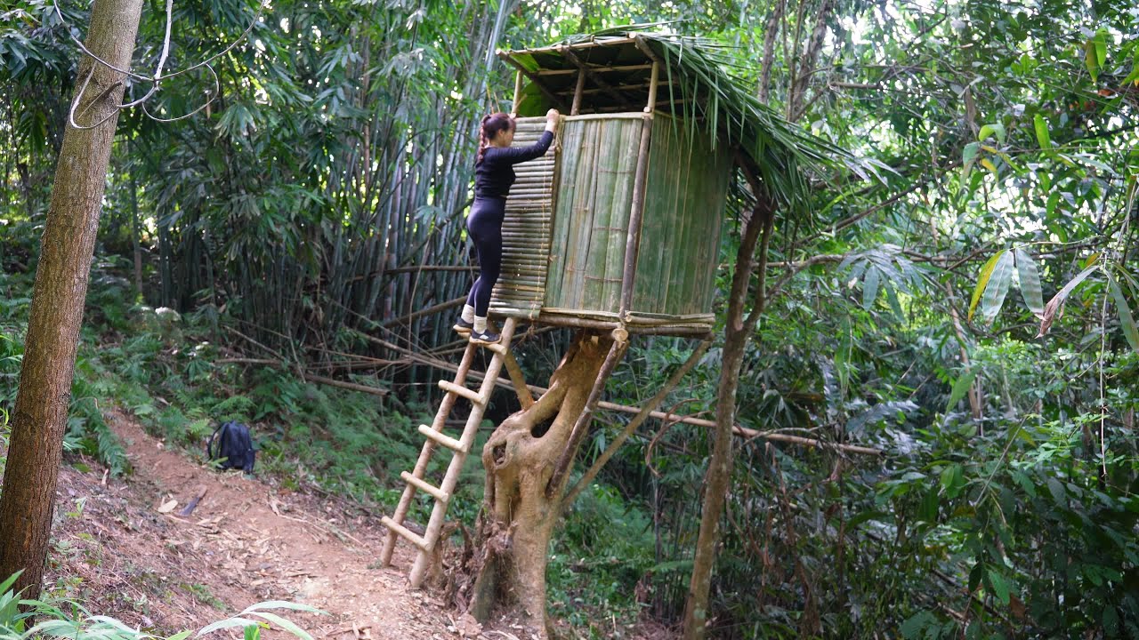 The Ultimate Tree Root Shelter: Can This Cozy Hideout Save You in the ...