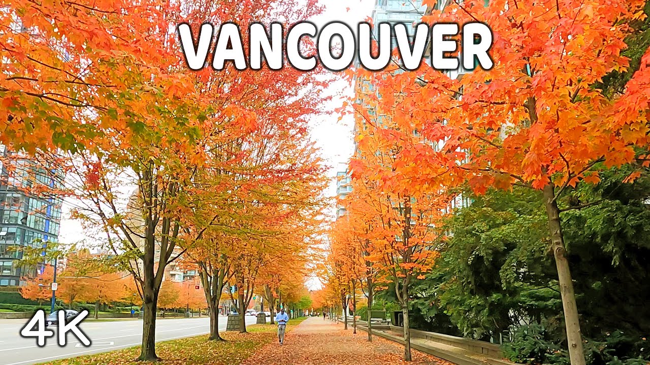 🇨🇦 【4K】🍁 🍁 🍁 Downtown Vancouver BC, Canada. Fall in Vancouver. Relaxing ...