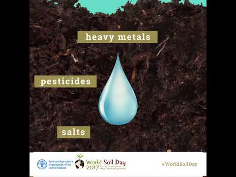 Soils are key to our supply of clean water - YouTube
