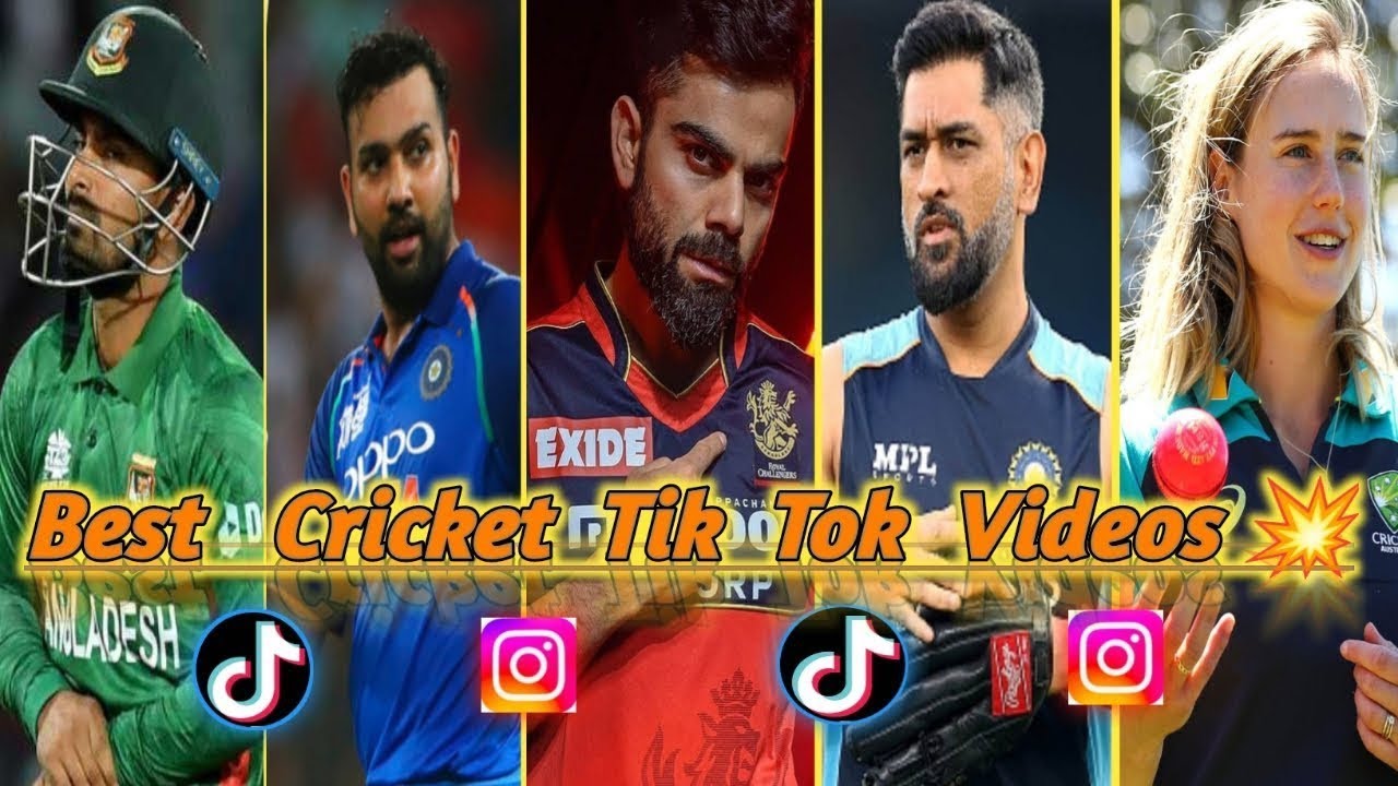 New cricket tik tok video cricket tik tok video new cricket tik tok ipl ...