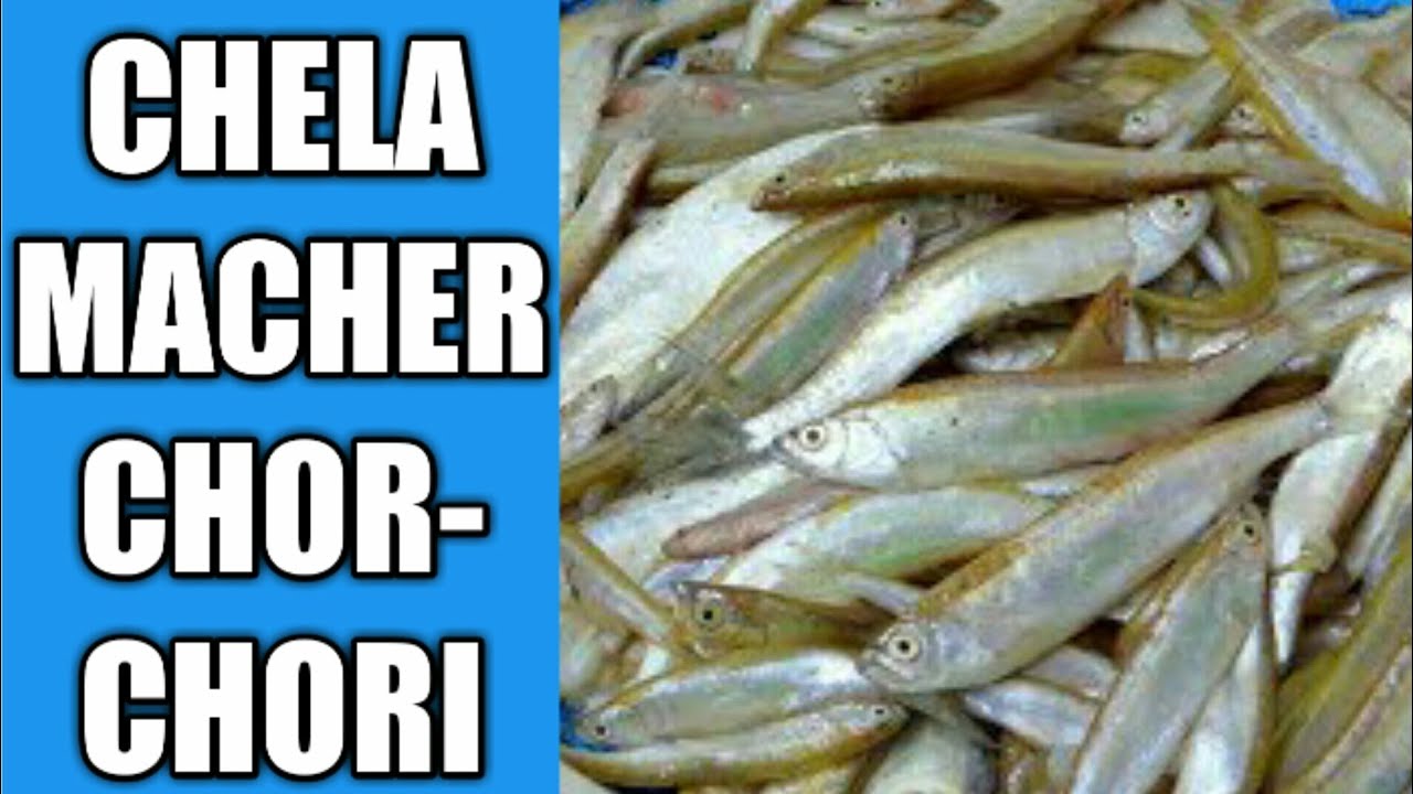 Small Fish Recipe | Chela macher chorchori | Chela macher recipe ...