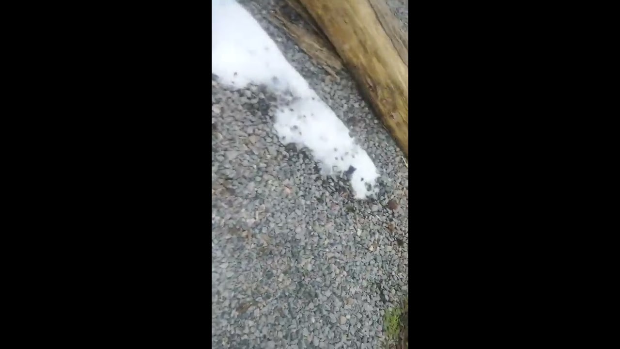 Ground Runoff Diversion - YouTube