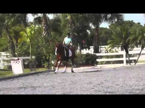 How To Ride Leg Yield to Lengthen Stride On A Dressage Horse - YouTube