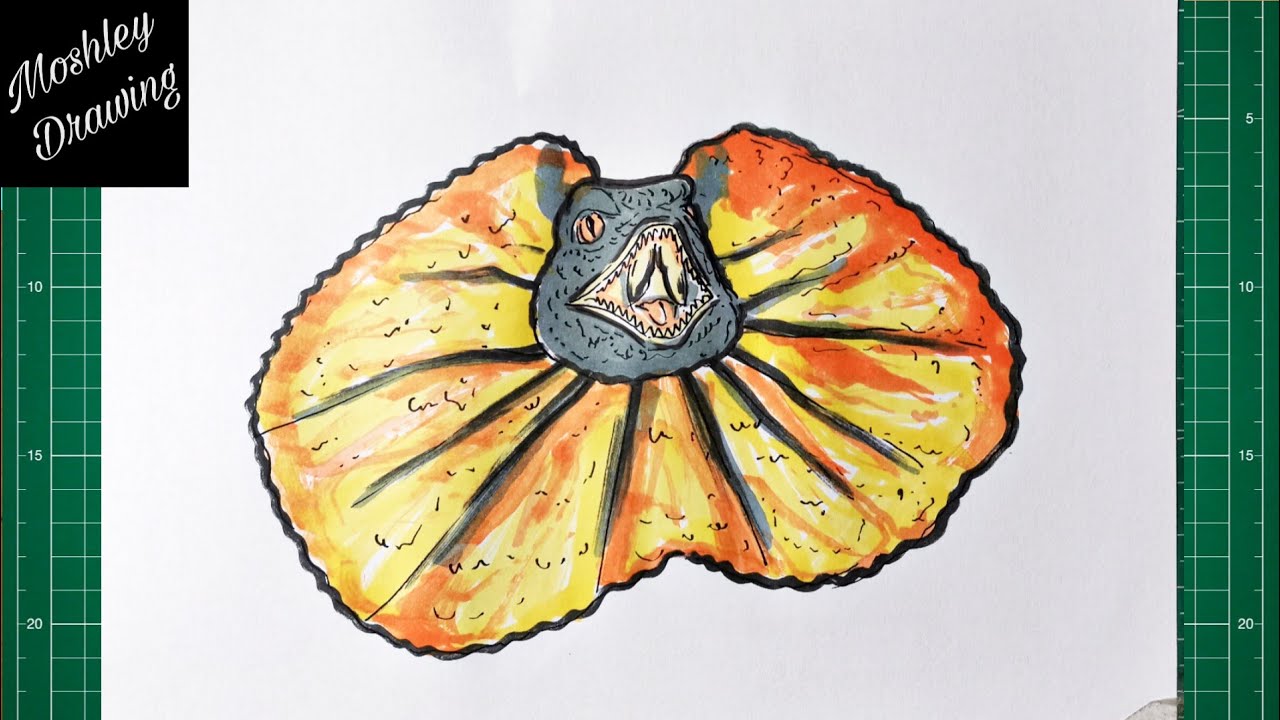 How to Draw a Frilled Neck Lizard Head - YouTube