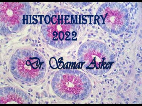 Introduction to histochemistry - YouTube