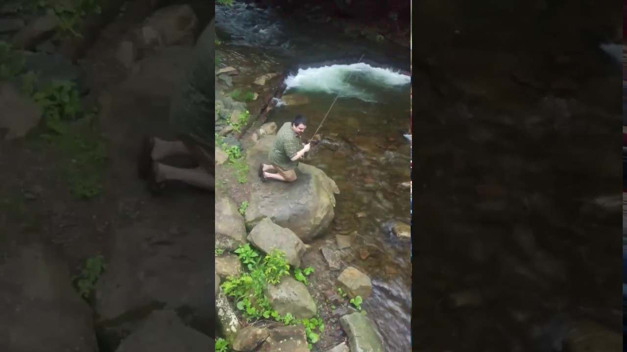 Asaph Run- Tioga County, PA fly fishing. - YouTube