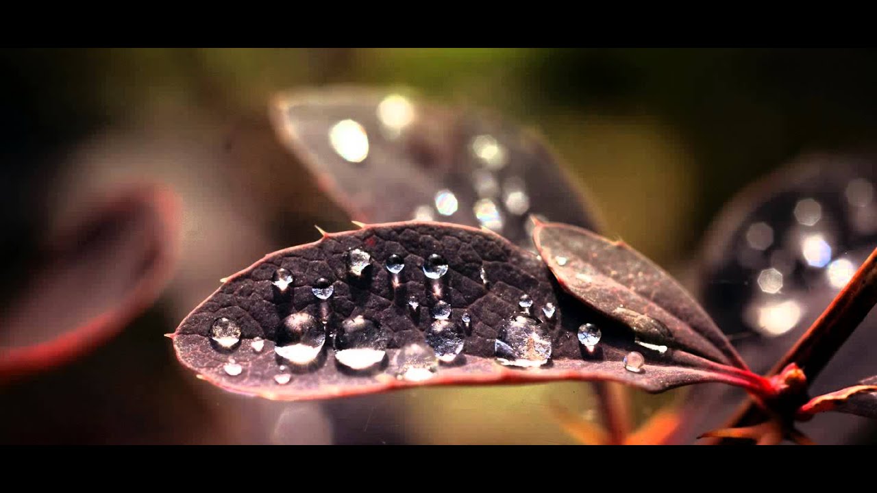 Collide - Razor Sharp [HQ] - YouTube