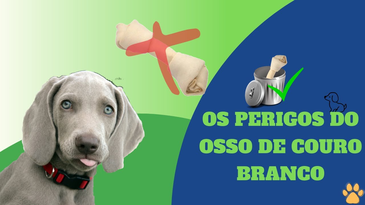 Os perigos do osso de couro | Cãofeitaria Fit - YouTube