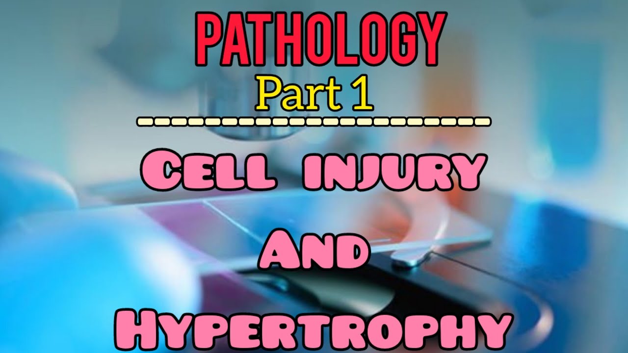 Cell injury and hypertrophy | PATHOLOGY PART 1 - YouTube