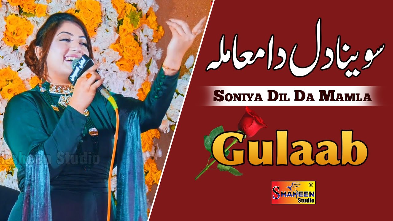 Dil Da Mamla | Gulaab Live Show Shaheen Studio 2023 - YouTube Music