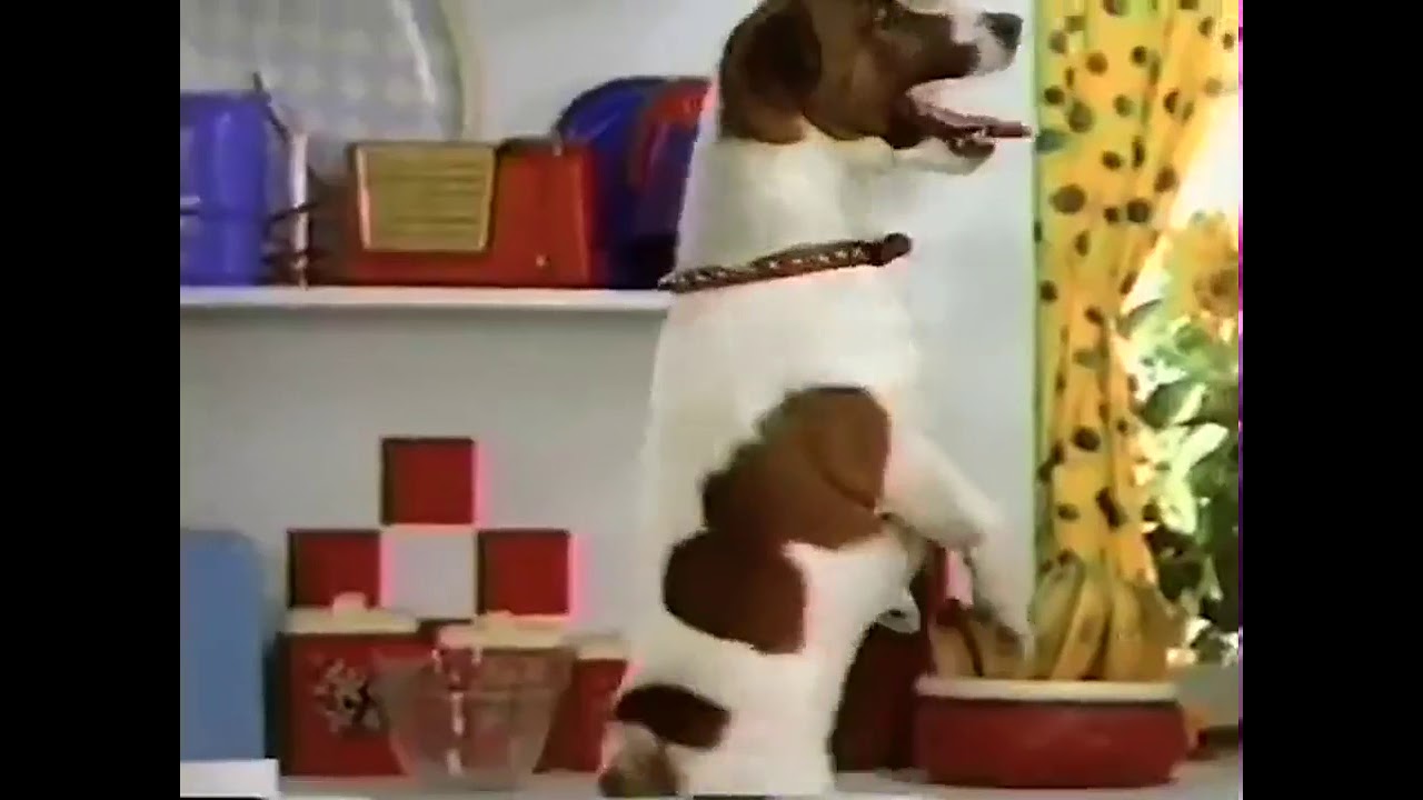 Ready Set Spaghetti board game Commercial - YouTube