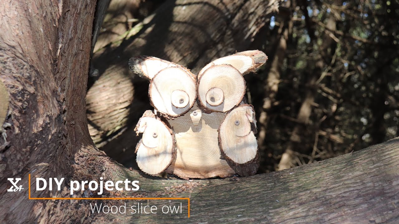 Cute wood slice owl, easy DIY project with minimum tools, step-by-step ...