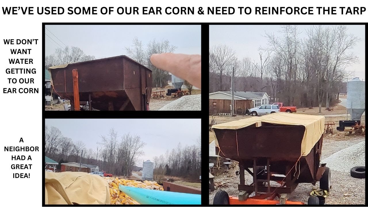 Reinforcing the Tarp on the Gravity Wagon to Keep Our Ear Corn Dry ...