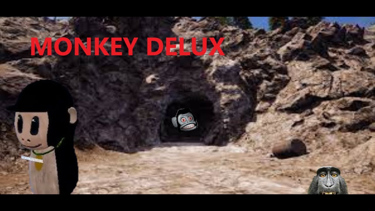 Monkey delux funny momest - YouTube