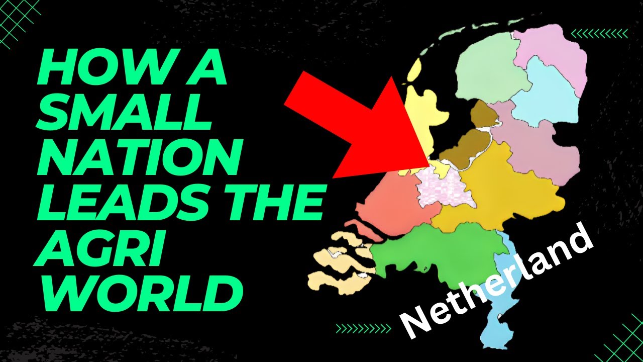 How the Netherlands Became an Agriculture Superpower : Unlocking the ...