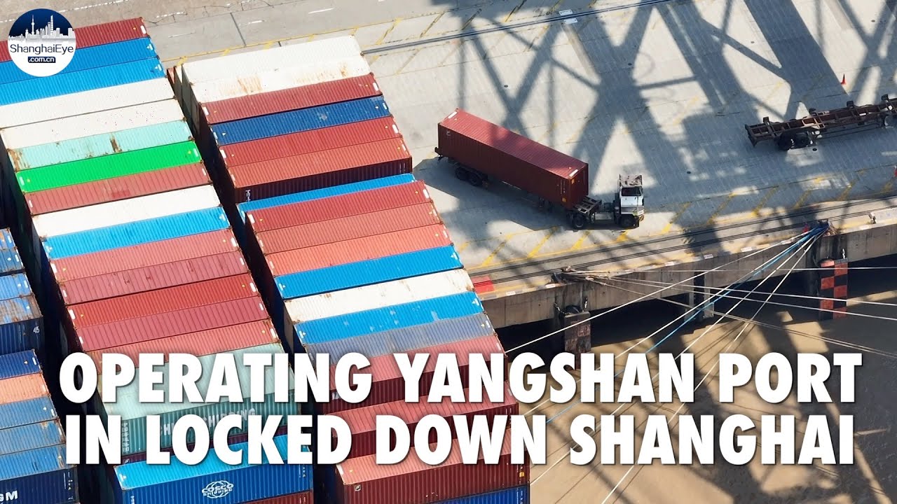 Rumor-Smashing! Drone view shows a non-stopping Yangshan Port despite ...