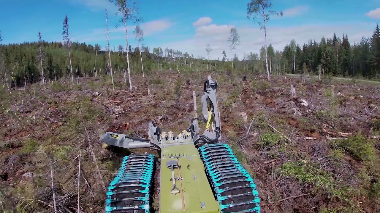 Bracke Forest AB önskar God Jul - Merry Christmas 2021 - YouTube