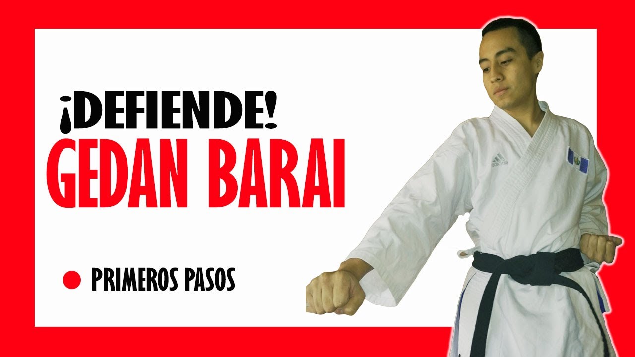 ¡DEFENDETE! GEDAN BARAI KARATE DO DEFENSA de un GOLPE AL ABDOMEN y ...