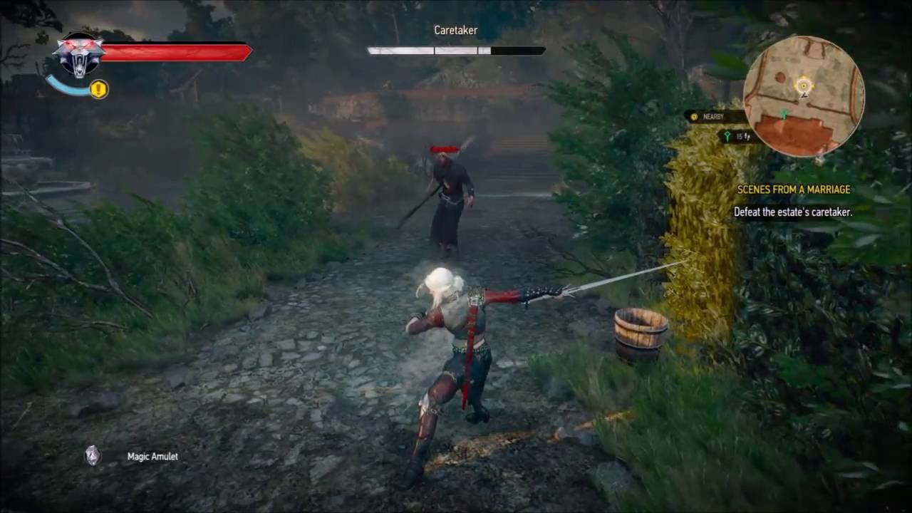 The Witcher 3 Ciri vs The Caretaker boss fight (Ciri Free Roam Glitch ...