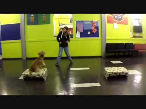 Directional Casting with Molly - YouTube