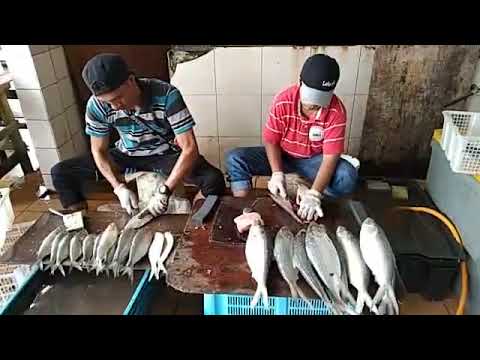 Ikan Terubok Sarawak at Pasar Satok - YouTube