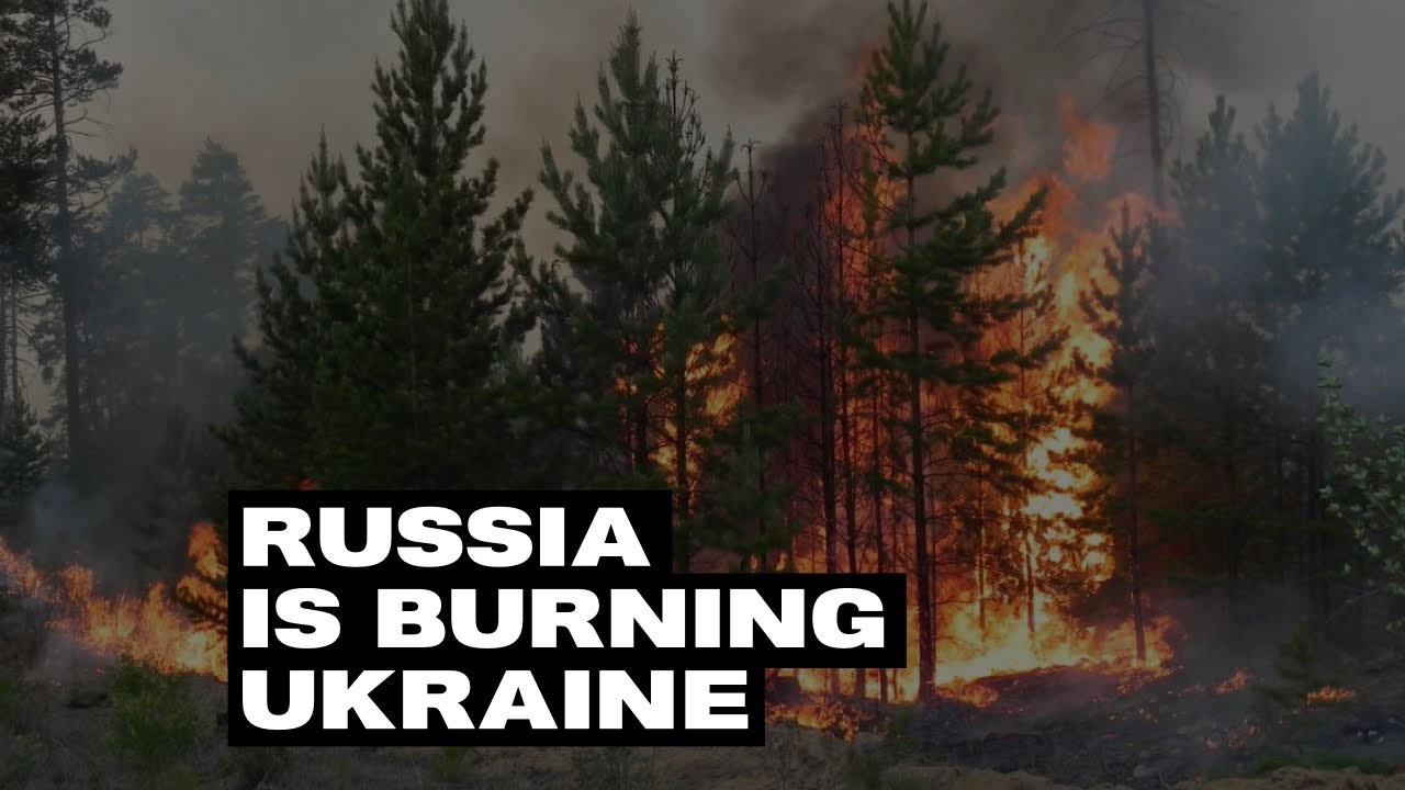 RUSSIA IS BURNING UKRAINE: COP27. UKRAINE PAVILION - YouTube