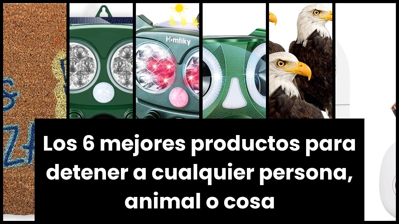 【STOP PERSONA ANIMAL O COSA】 - YouTube