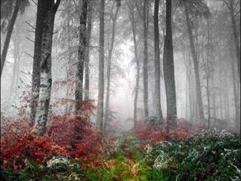 Eternal Flame - Human Nature - YouTube Music