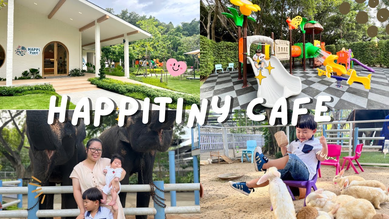 พาลูกเที่ยว คาเฟ่เด็ก Happitiny Cafe สามพราน มี mini zoo ช้าง กระเต่าย เต่า - YouTube
