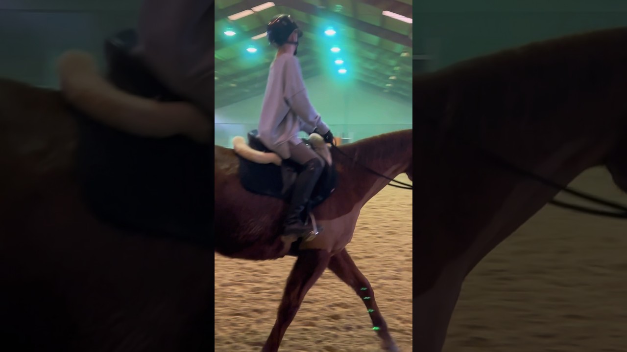 Riding in oversized sweatshirts is 🔛🔝 - YouTube