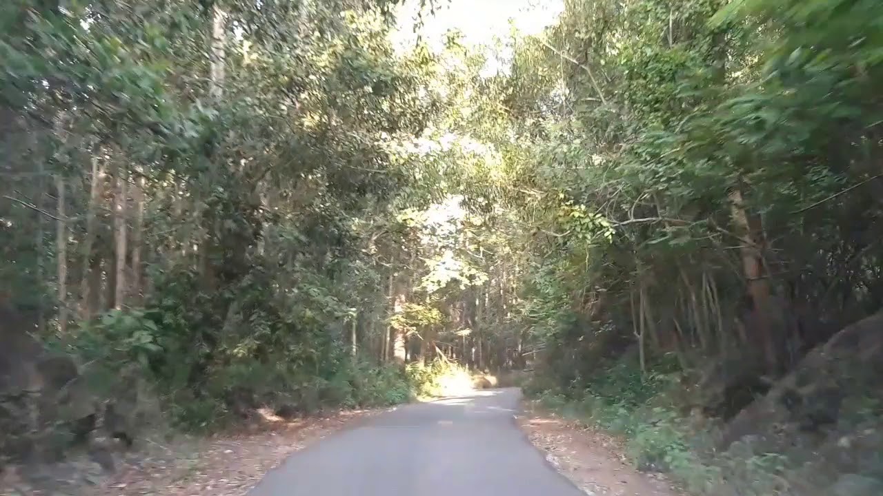 Trivandrum perayam forest road - YouTube