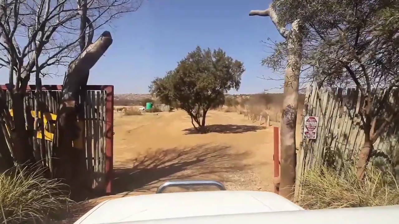 Weekend at Warthogs Bush Camp - YouTube
