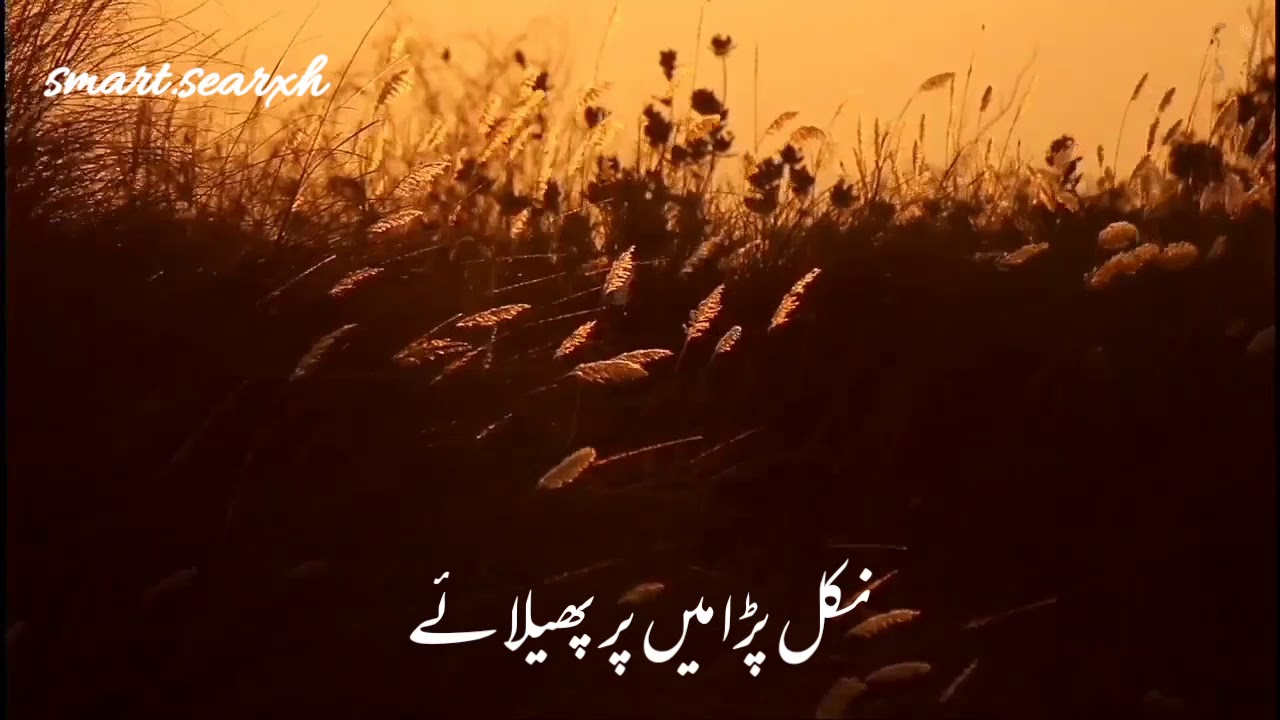 Alif OST Lyrics WhatsApp status - YouTube