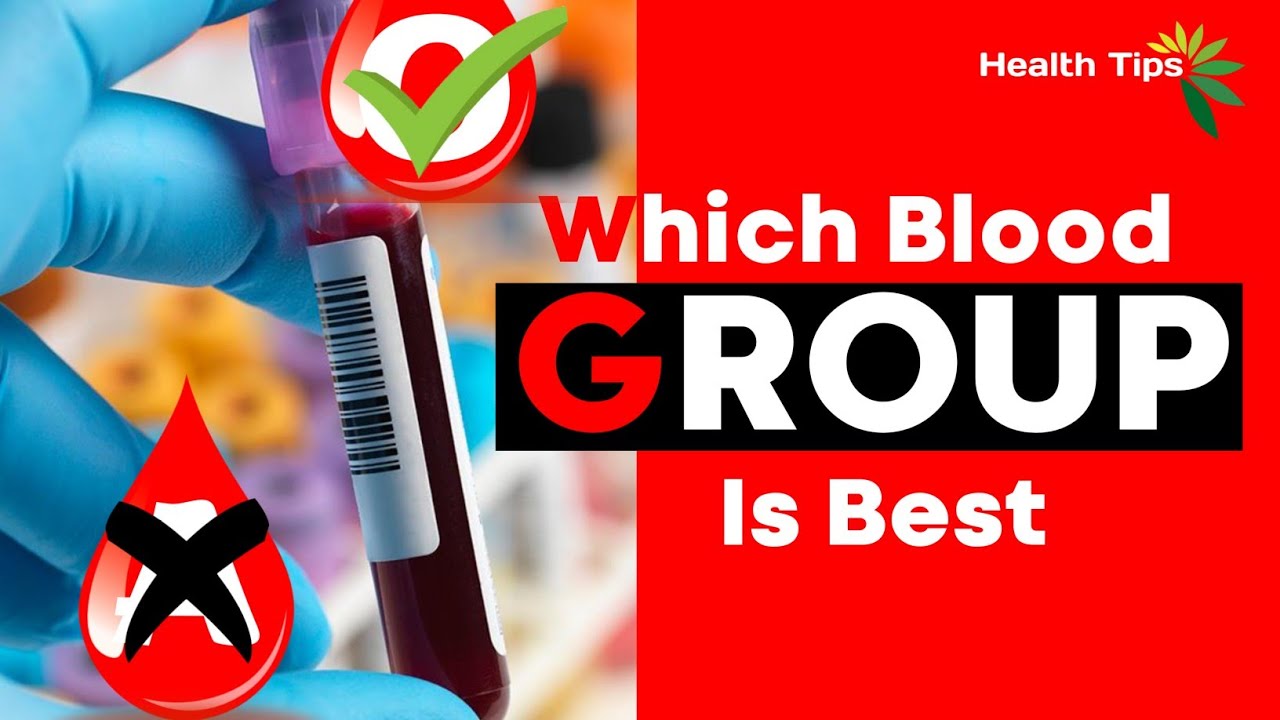 Which Blood Group Is Best | Blood Group & Blood Types | Which Blood ...
