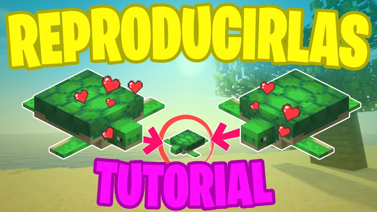 COMO REPRODUCIR TORTUGAS EN MINECRAFT👈 | 🍓COMO TENER ESCAMAS DE TORTUGA ...