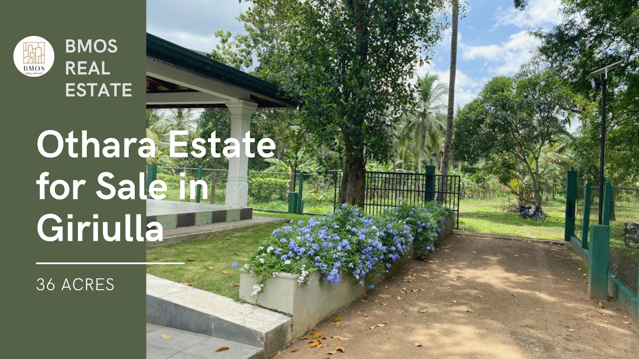 Othara Estate for Sale at Riloluwa, Giriulla | Bungalow| Agriculture ...