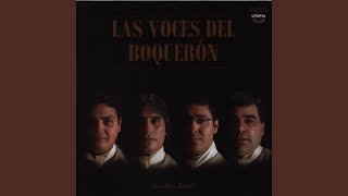 Las Voces Del Boquerón - Trencito de Ida Chords - Chordify