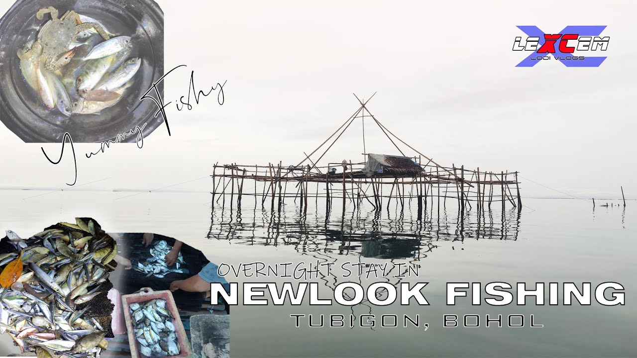 FISHING BUSINESS | NEWLOOK FISHING | Tubigon, Bohol, Philippines - YouTube