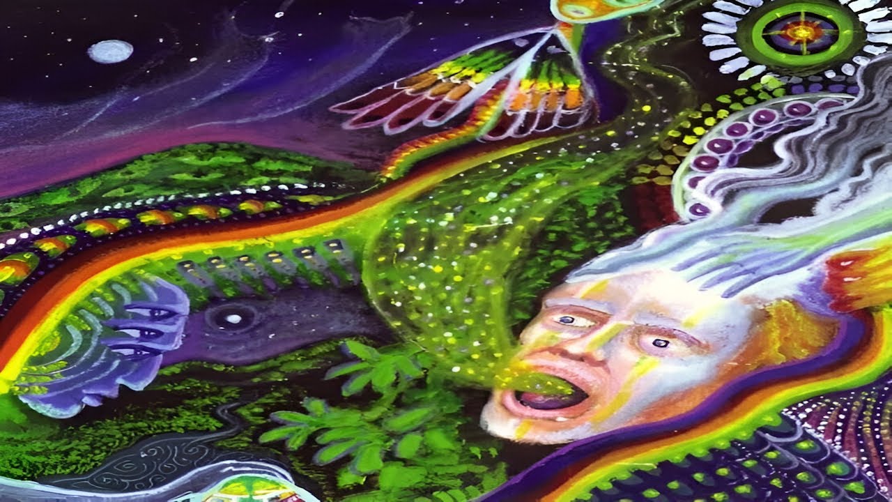 The Most Insane Magic Truffle Trips of All-Time - YouTube