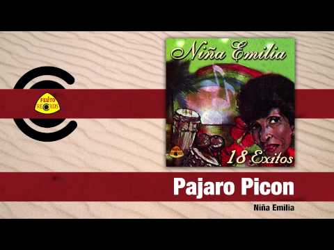La Niña Emilia - Pajaro Picon (Audio) | Felito Records