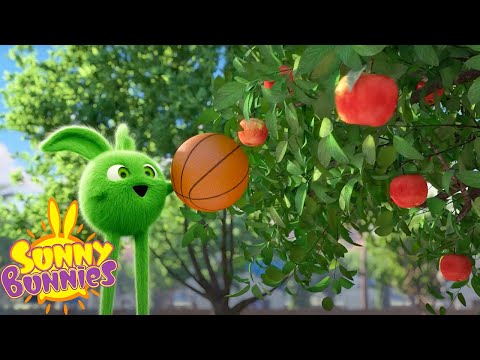 SUNNY BUNNIES - Basketball & Apples | Season 7 | Cartoons for Kids
