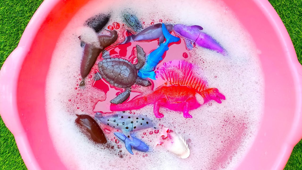 Cleaning Animal Toys | Sea Animals Toys Getting Washed | Animals Toys ...