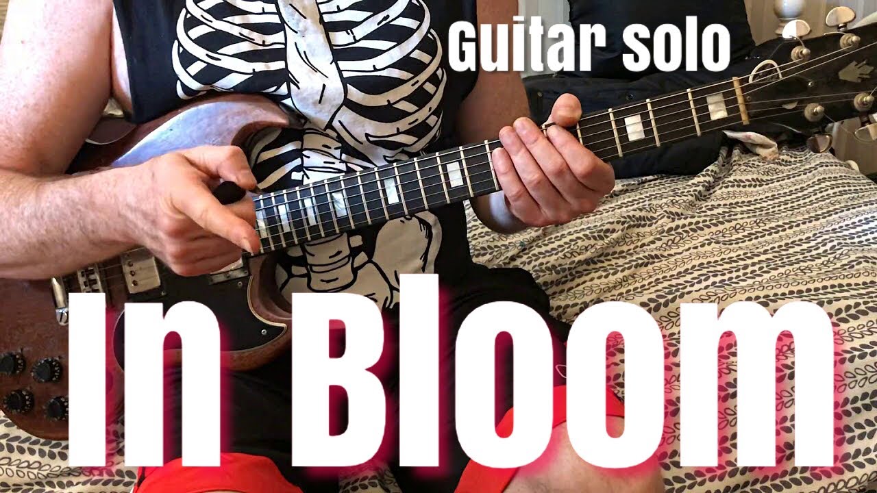 In bloom guitar solo lesson - YouTube