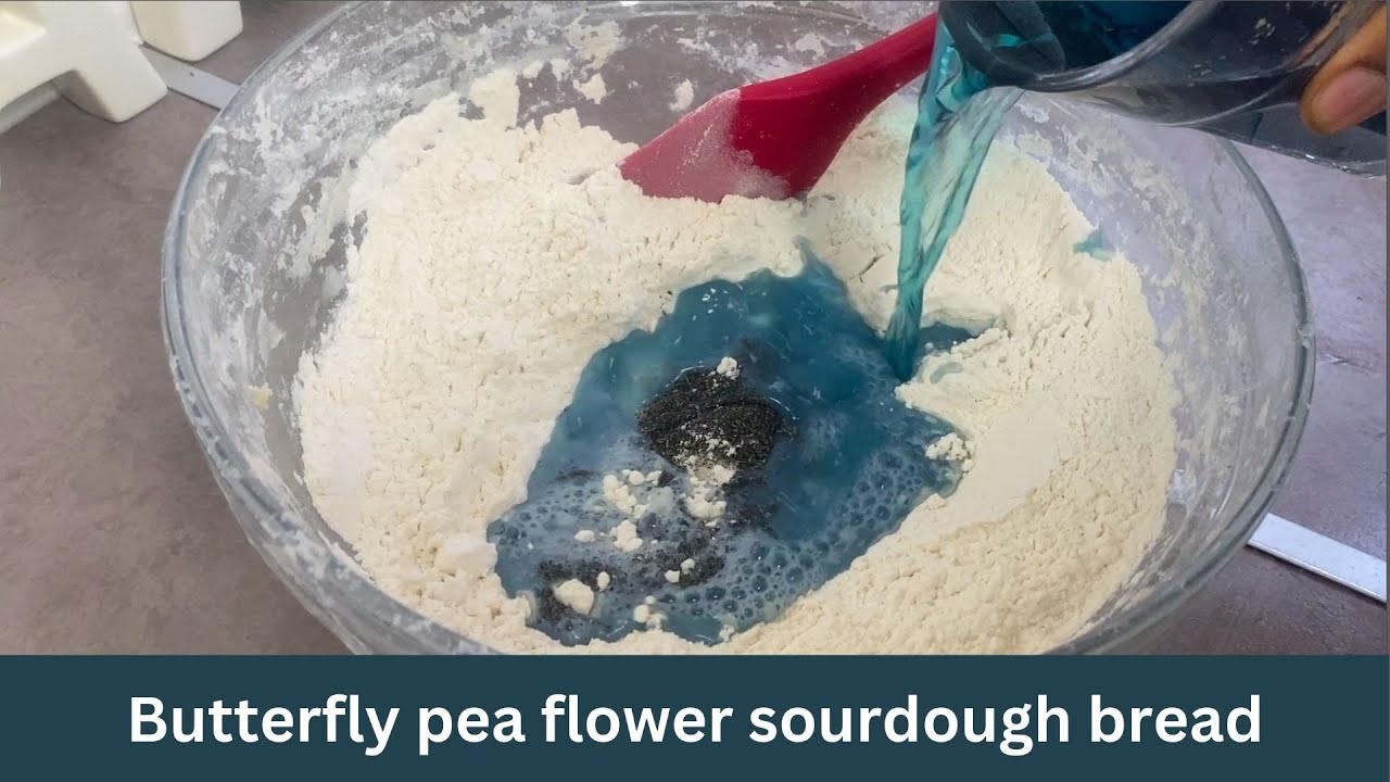 Natural blue food colour : Butterfly pea flower sourdough bread :How to ...