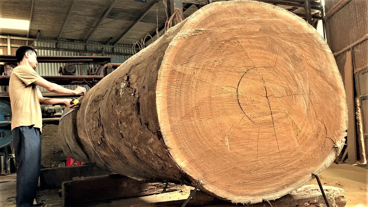 Amazing Sawmill Wood Cutting - Amazing Woodworking Work Raw Wood ...