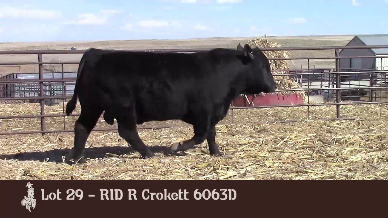 Lot 29 RID 6063D (1022X) - YouTube