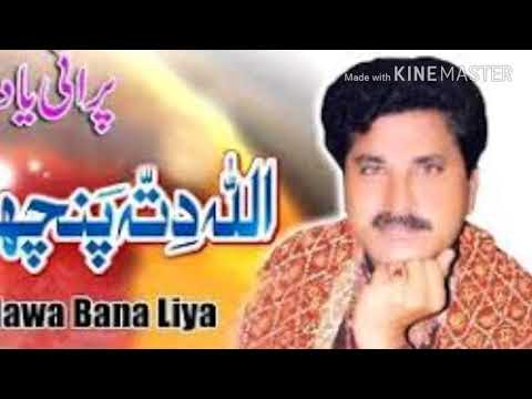 Allah ditta panchi \