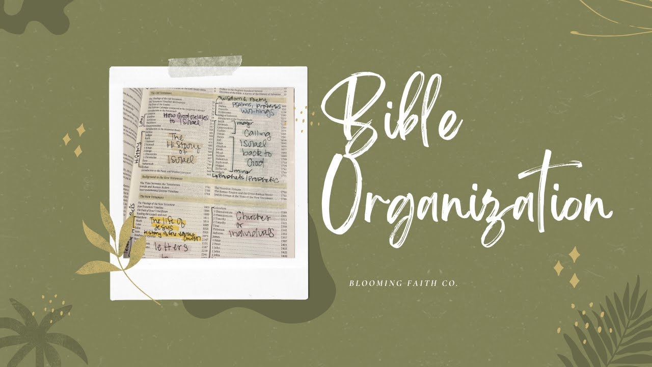 Bible Organization | Bible Study | Bible Categorization - YouTube