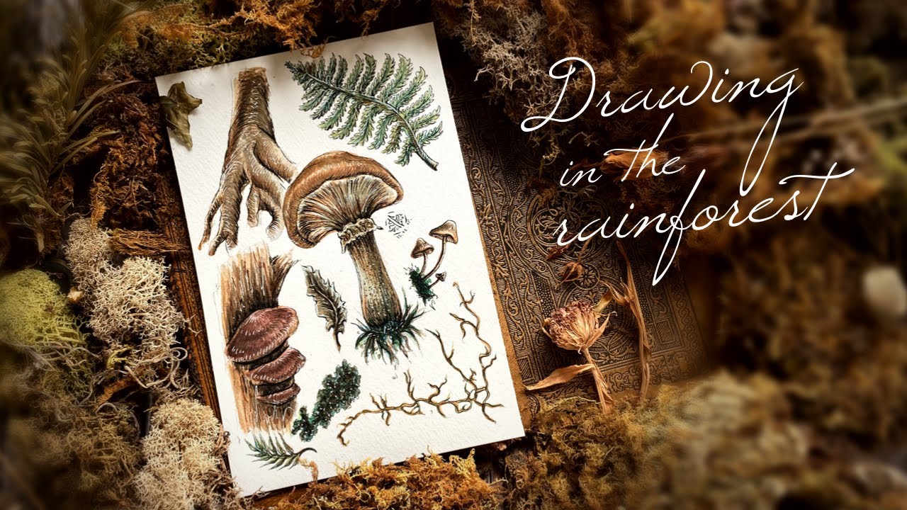 How to draw Mushroom, Fern, Moss | Watercolour , Copic markers speed ...